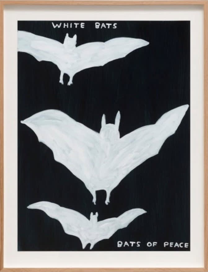 David Shrigley | Maddox Gallery