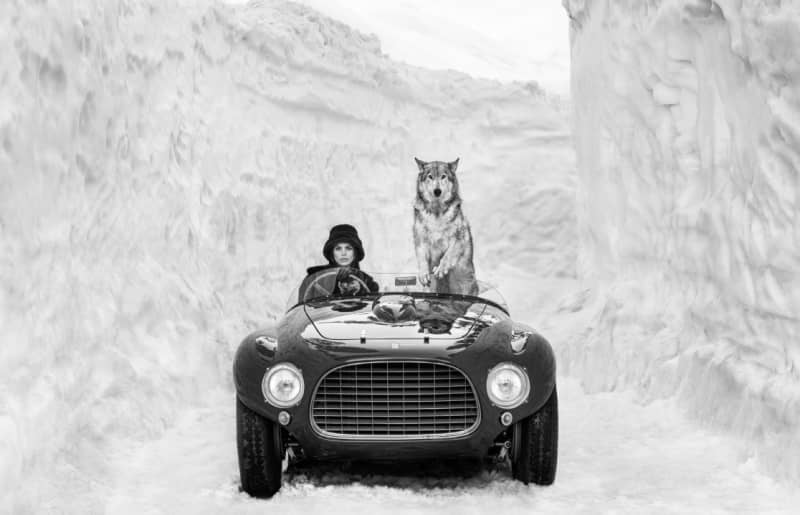 David Yarrow | Maddox Gallery