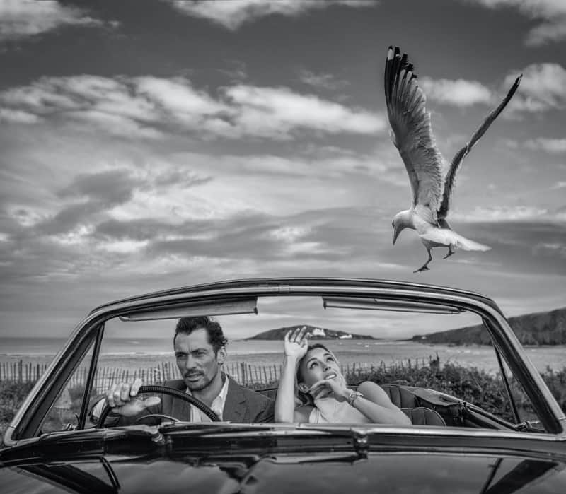 David Yarrow: Storytelling | Maddox Gallery