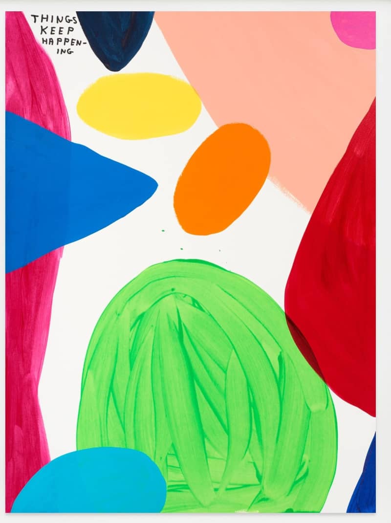 David Shrigley Artwork for Sale - Prints & Drawings | Maddox Gallery
