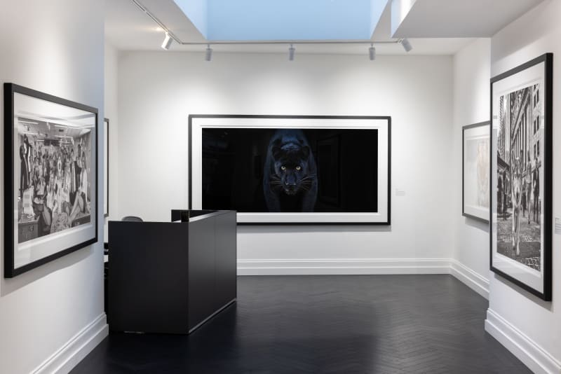 David Yarrow: The Collection | Maddox Gallery