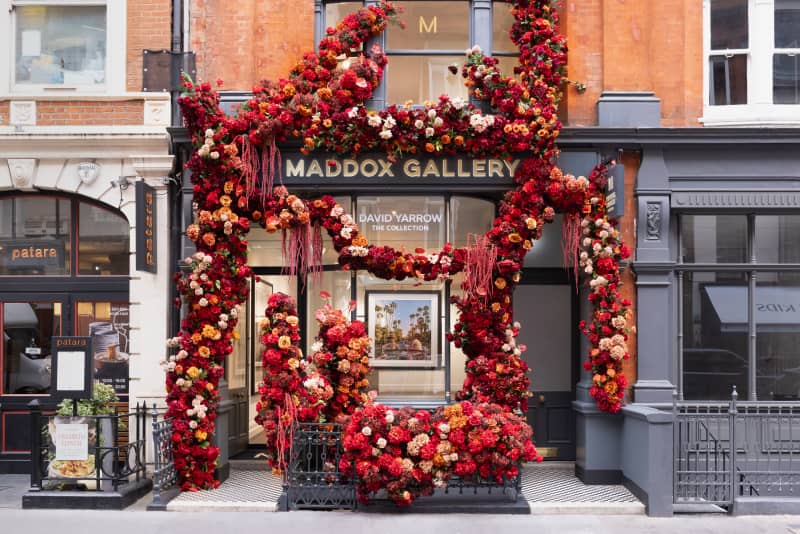David Yarrow: The Collection | Maddox Gallery