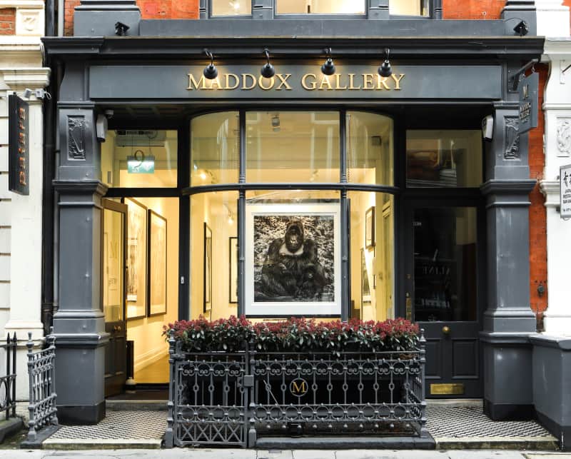 IN FOCUS | David Yarrow | Maddox Gallery