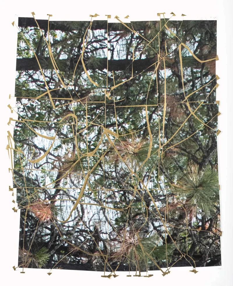 Jim Hodges | Stephen Friedman Gallery