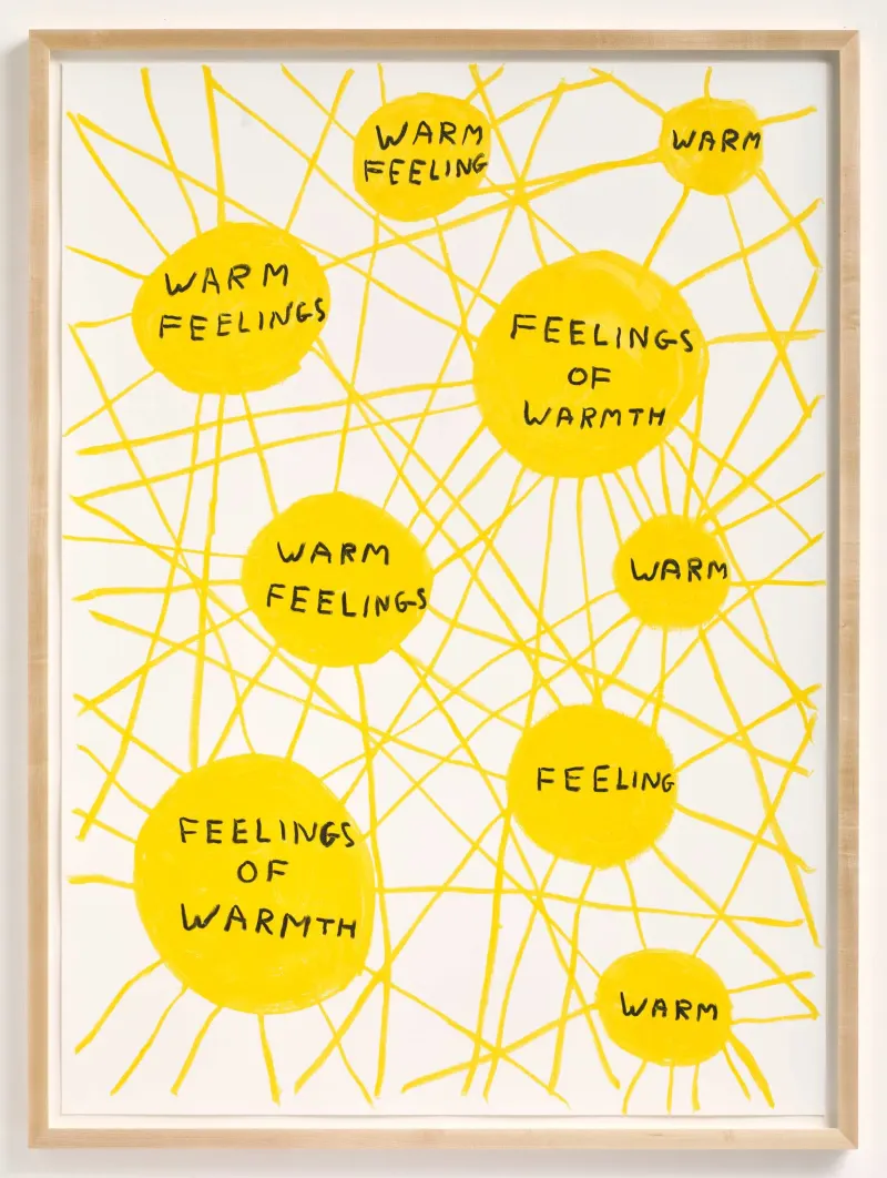 David Shrigley | Stephen Friedman Gallery