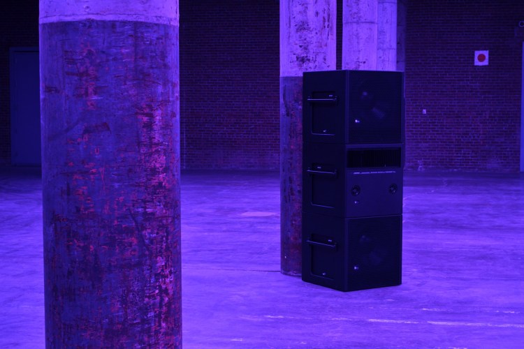 Steve McQueen, Bass, 2024 | Thomas Dane Gallery