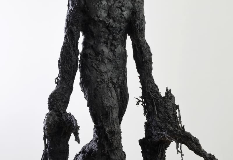 Nicola Hicks | Flowers Gallery