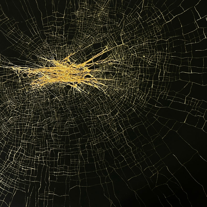 India Art Fair | 6 - 9 February 2025 - Installation Views | Anant Art ...