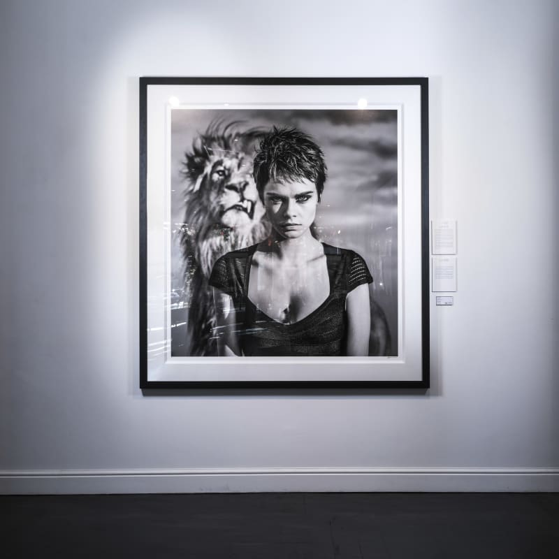 David Yarrow Photography for Sale | Maddox Gallery