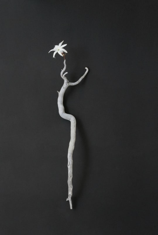 Artists | Lisa Sette Gallery