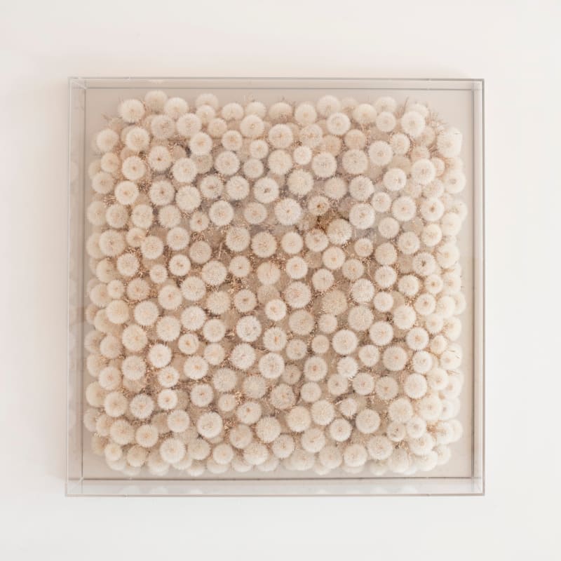 Rademakers Gallery | Hilde Trip