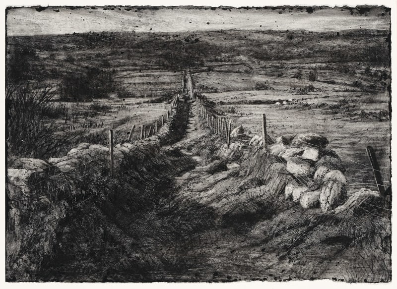 Michael Wann | Solomon Fine Art