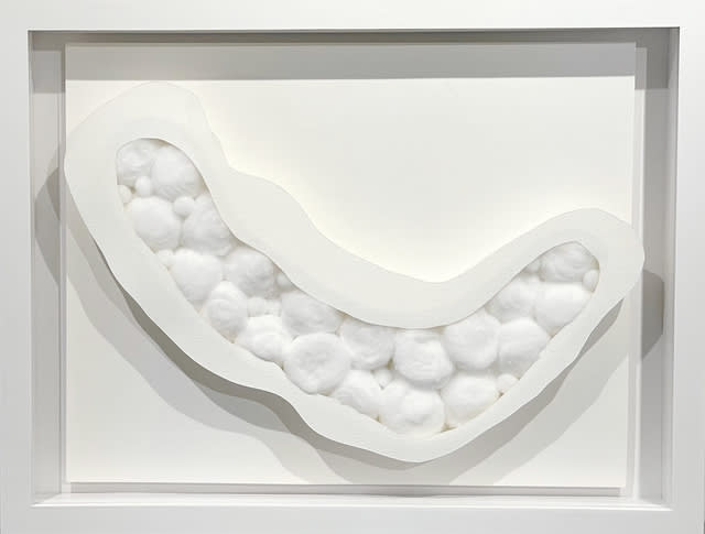 Sandra Cordero | Thomas Nickles Project