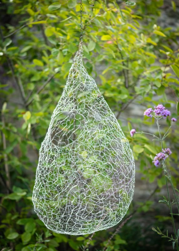 Clee Claire Lee - Overview | Velarde Gallery