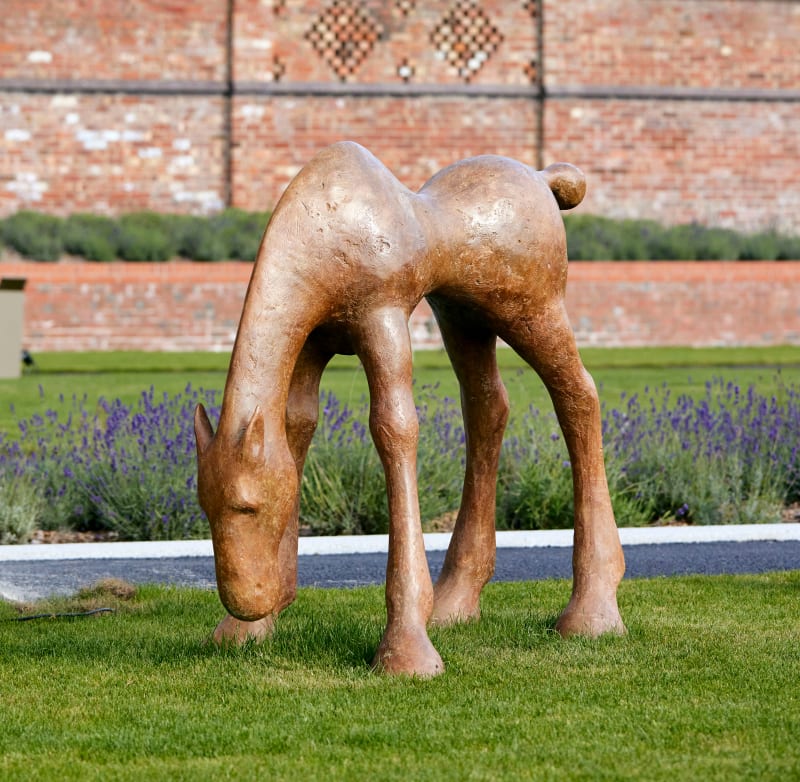 Anthony Scott | Winsor Birch