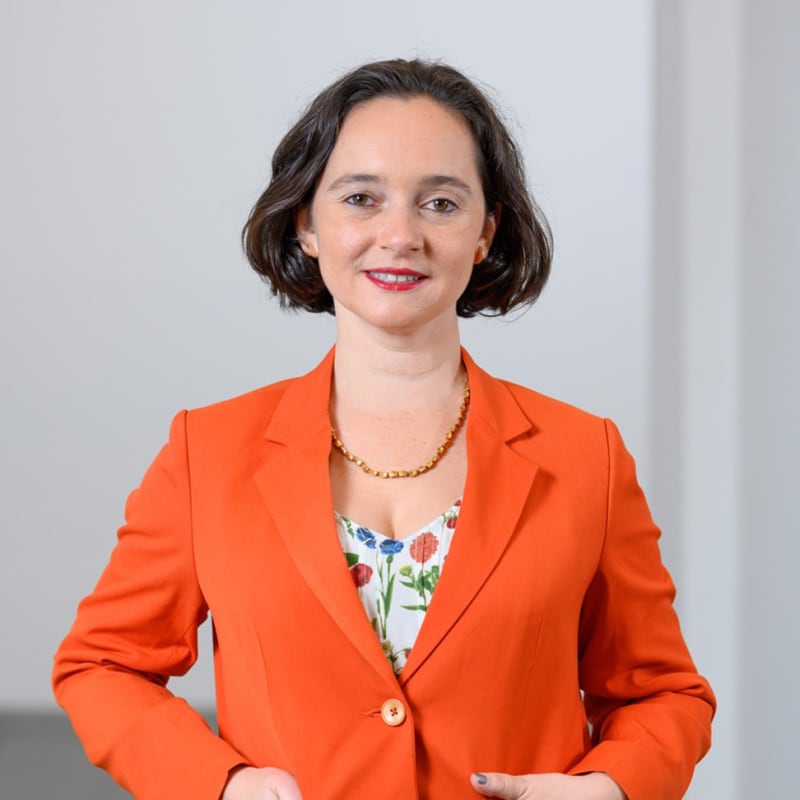 Artist Talk: Alina Perez in conversation with Susanna Temkin and ...