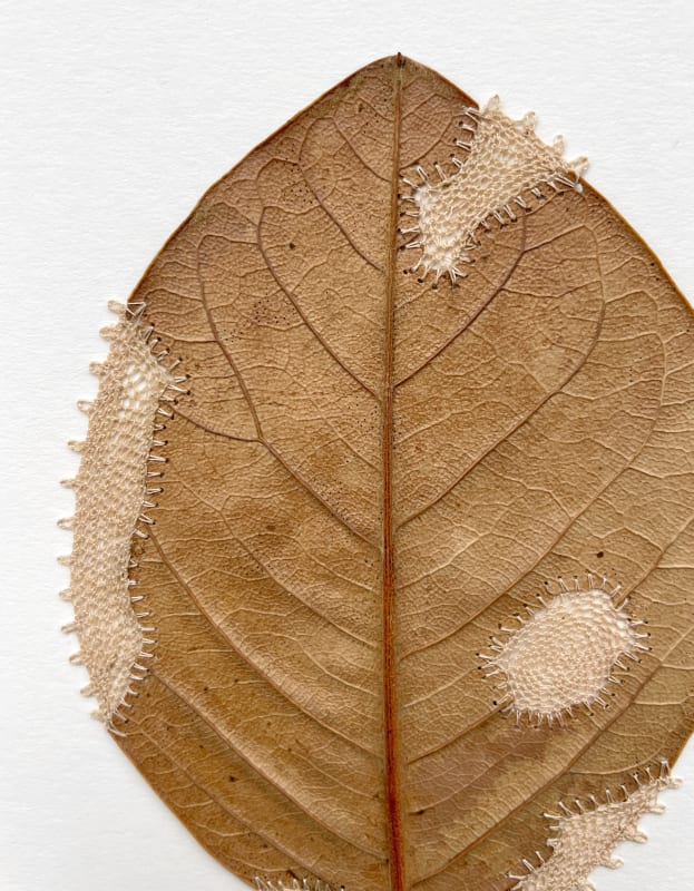 Susanna Bauer - Overview | Velarde | Contemporary Art Gallery in ...