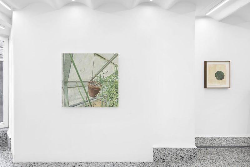 Press | Seven Sisters