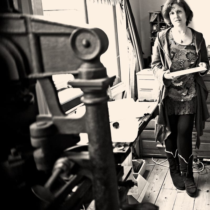 Anne Desmet - Biography | VINSONart