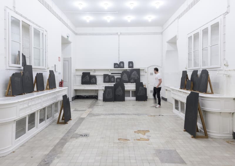 Institutional Exhibition: Lisbon Natural History Museum | Albuquerque ...