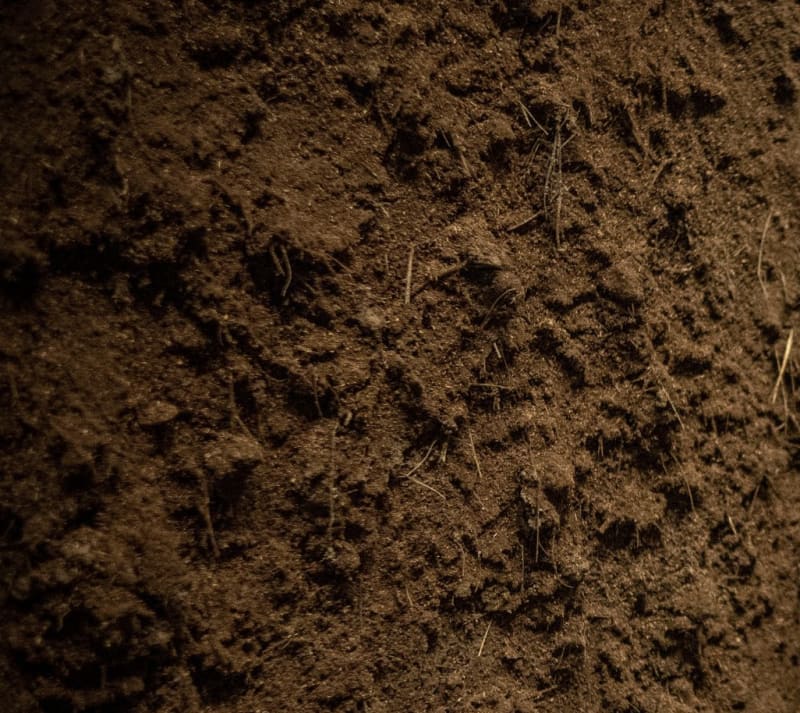 Marian Goodman Gallery