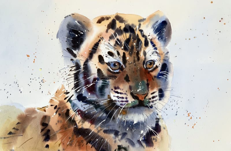 Jake Winkle | Watercolour Artist