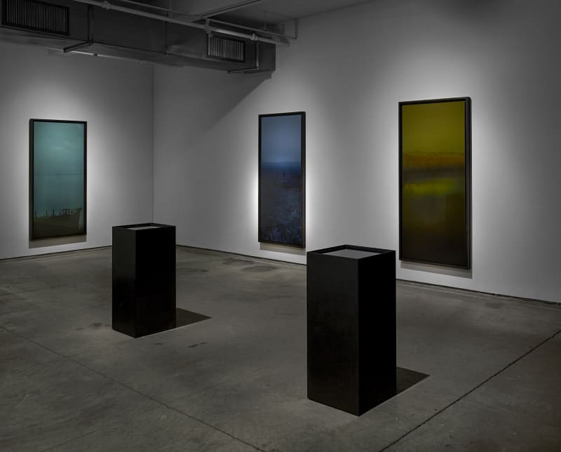 Nadav Kander | Flowers Gallery