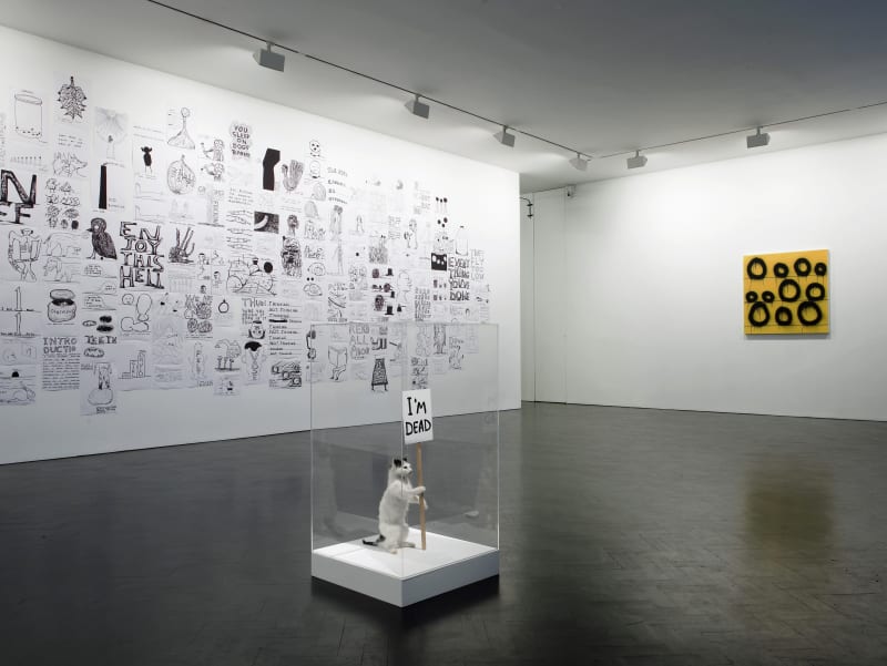 David Shrigley | Stephen Friedman Gallery