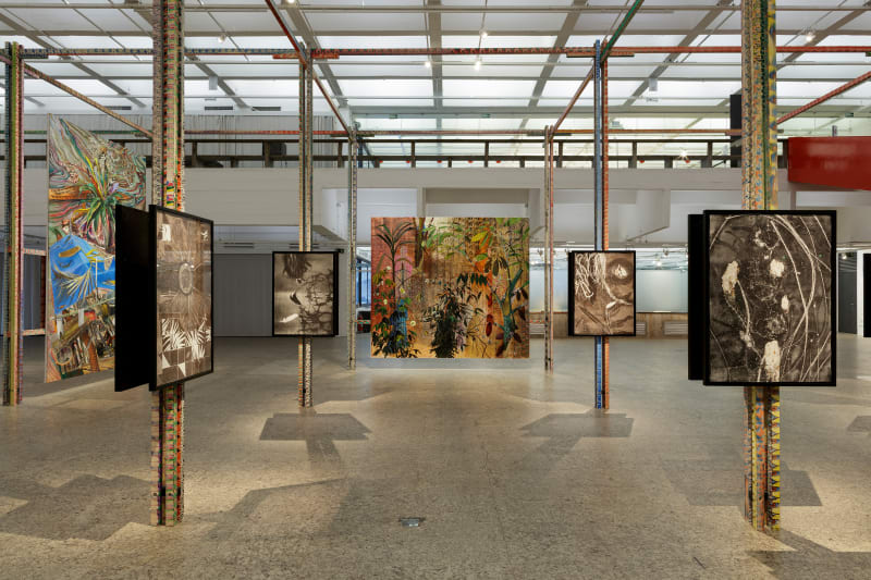 Luiz Zerbini | Stephen Friedman Gallery