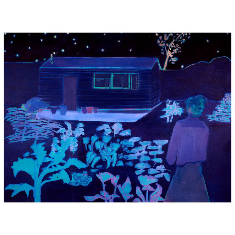 Tom Hammick - Biography | Maya Frodeman Gallery
